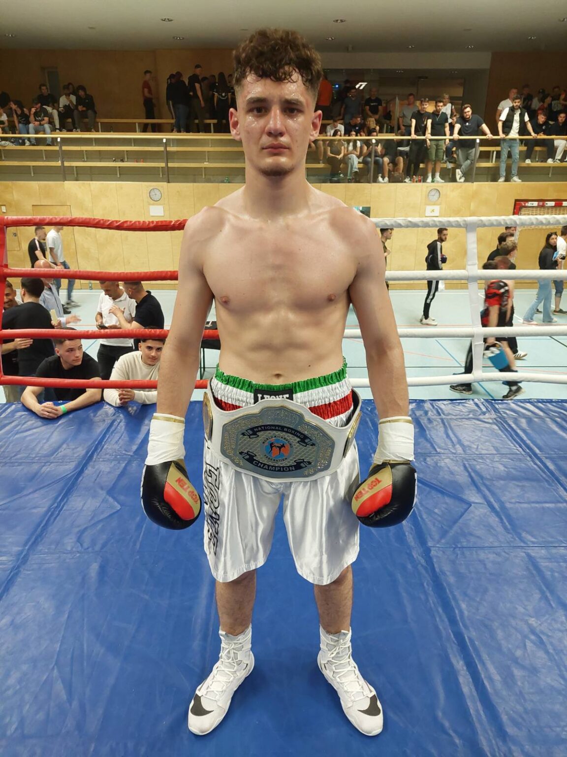 Austria Boxing Union